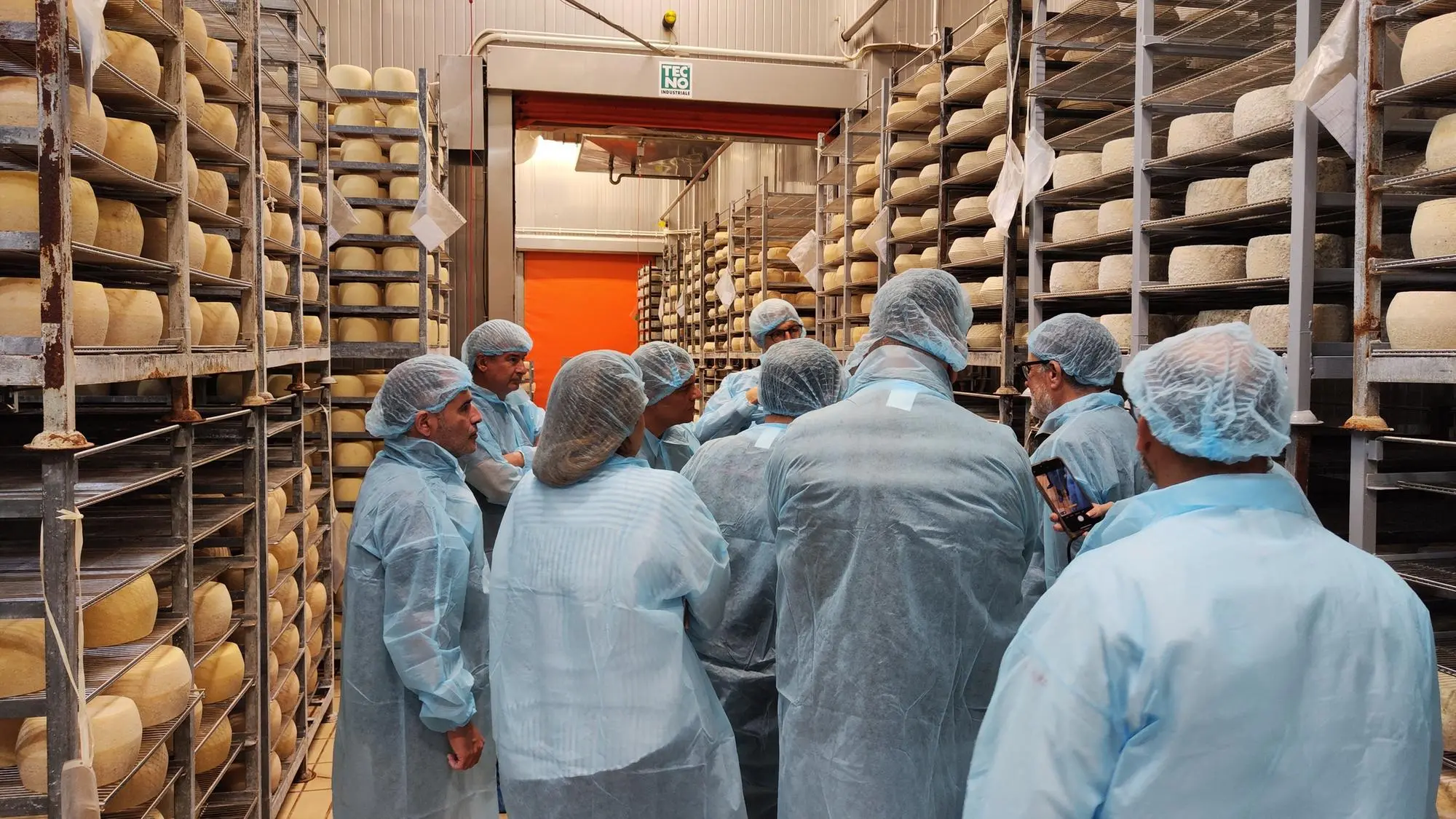 Dop Cheese Sardinia, il Pecorino Sardo "pensa" in grande ...