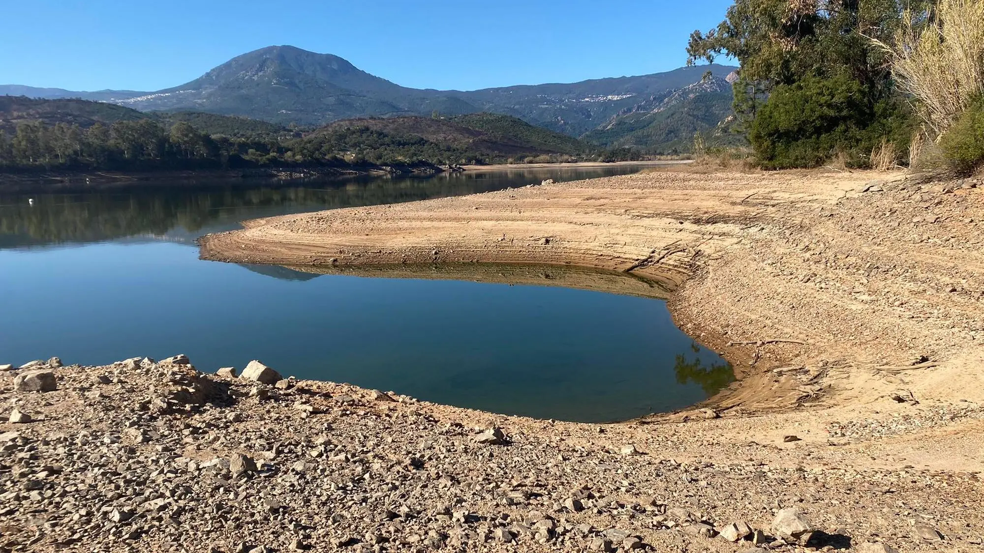 World Environment Day, the alarm raised by Coldiretti: «Drought still a ...