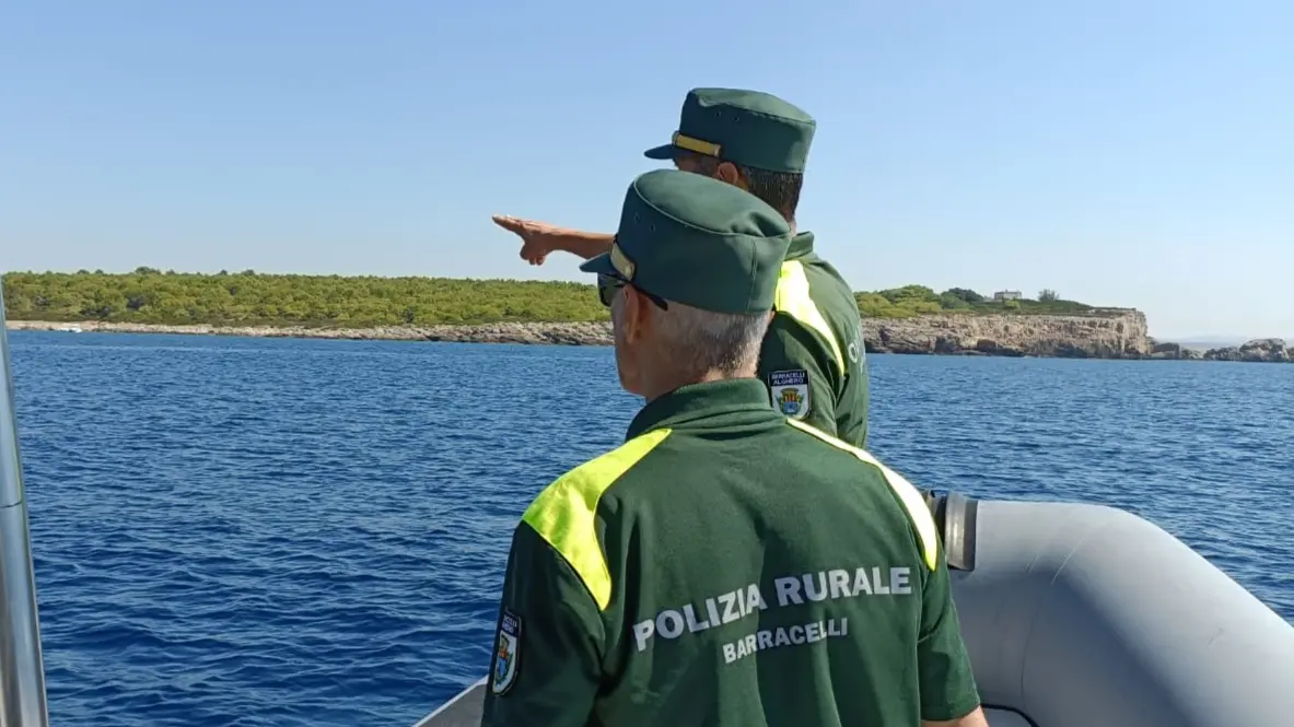 Blitz of the barracelli in the Marine Protected Area: poachers leave ...
