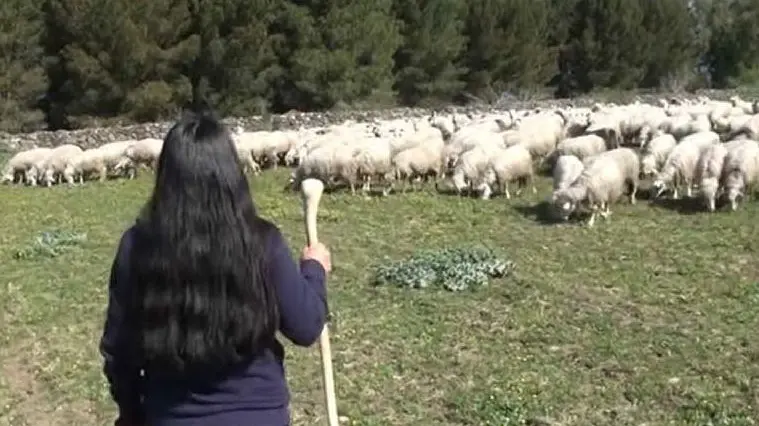 DAL PERÙ ALLA MARMILLA PER ESPORTARE IN AMAZZONIA L’ALLEVAMENTO DELLE ...