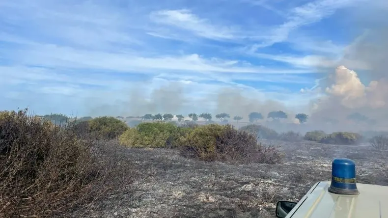Porto Torres, vigilance against fires continues: fines of up to 50 ...