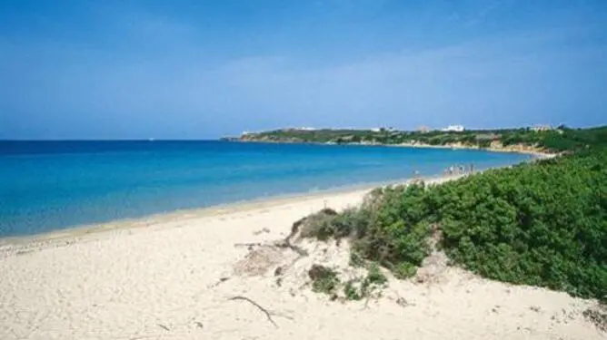 Spiagge della Sardegna, Calasetta: Spiaggia Salina, descrizione e come ...