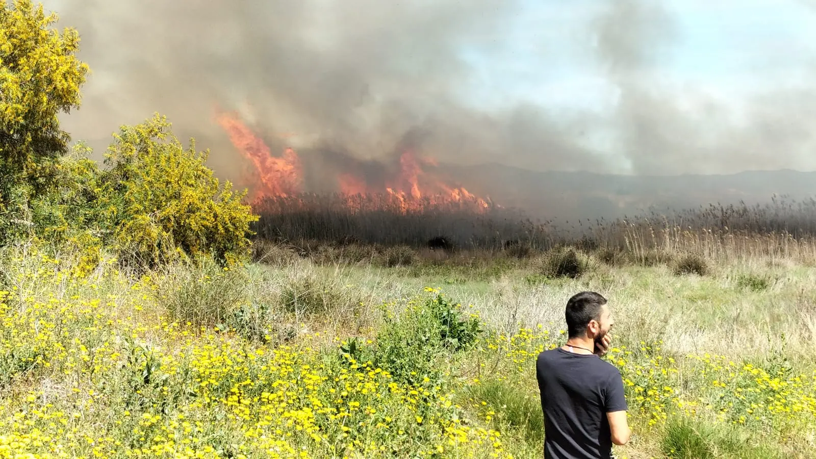 Monserrato, incendio vicino a via Riu Mortu