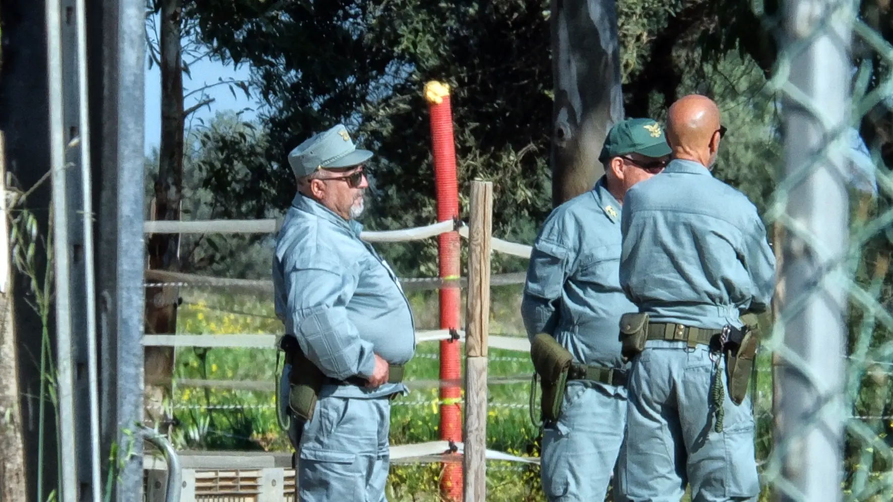 Cagliari, blitz della Forestale a Sa Illetta: sequestrati i box del ...