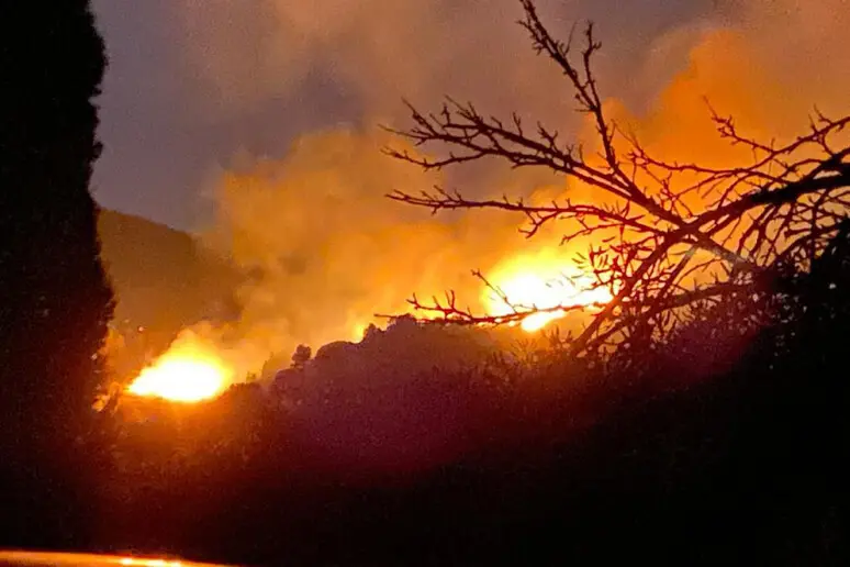 Big fire on the island of Elba: 700 displaced people, fire in ...