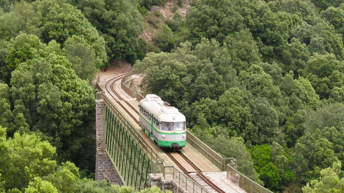 Green Train, attraction in the middle - L'Unione Sarda English