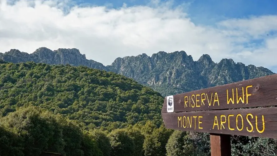 Uta, tutti in salvo i ragazzi dispersi a Monte Arcosu - L'Unione Sarda.it