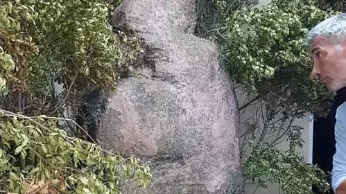 A Usellus nasce il Museo della flora e della fauna del Monte Arci - L ...