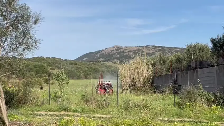 Carbonia, muore assalito da uno sciame d’api: lo scafandro era chiuso ...
