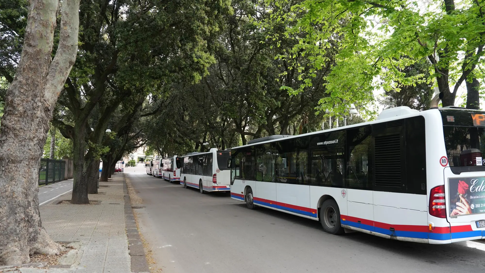 Sassari, una nuova linea di autobus per collegare il centro con le ...