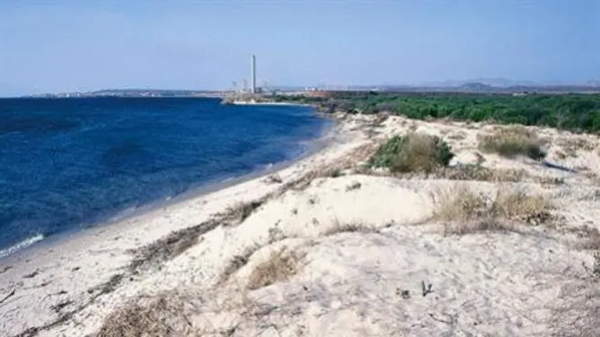 Strand Punta de S'Aliga, feiner weißer Sand und Muscheln - L'Unione ...