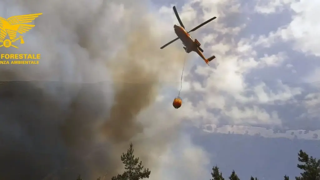 Uras, fire devastates over 5 hectares of land and licks State Road 131 ...