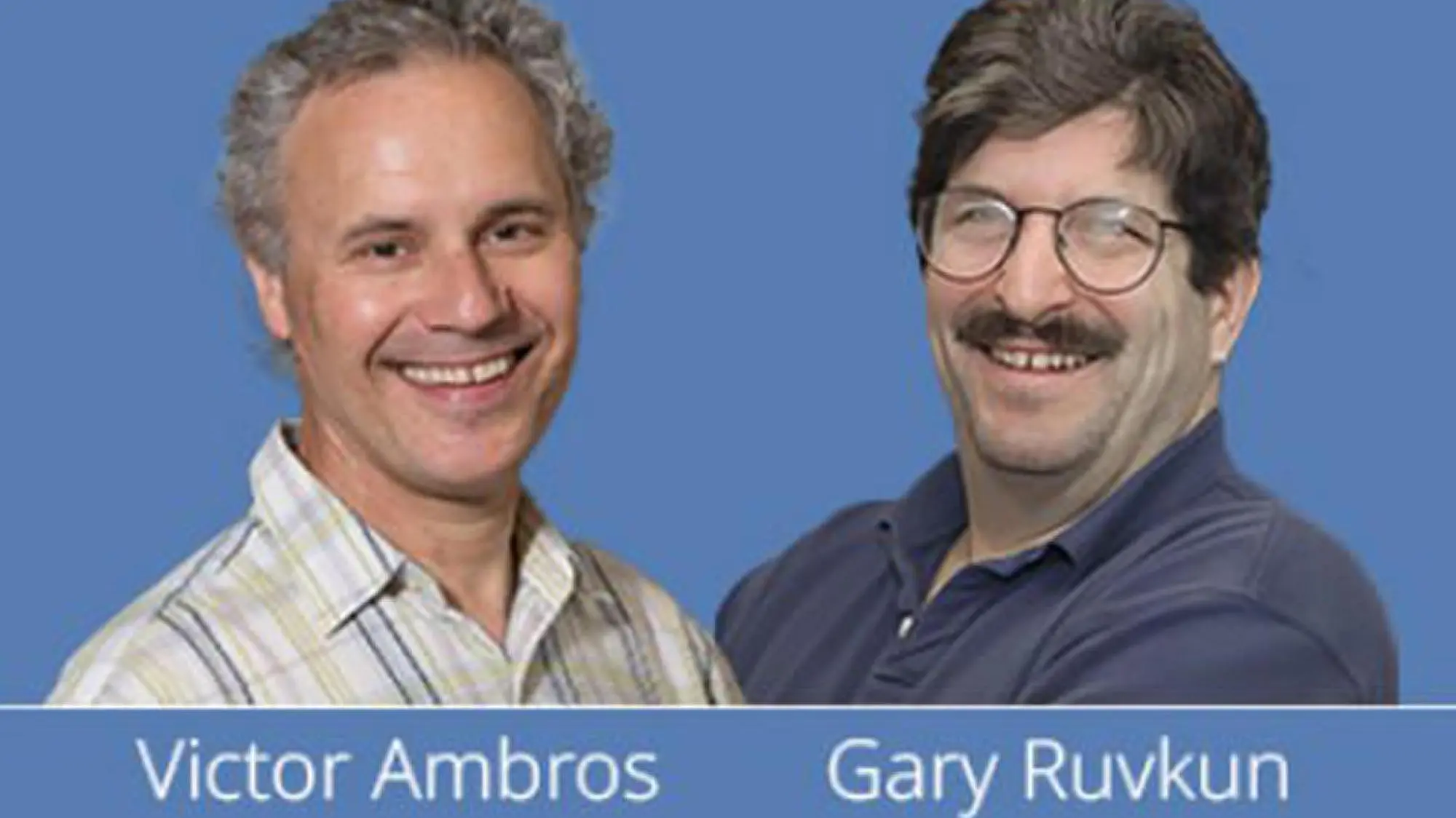 Victor Ambrose 和 Gary Ruvkun 因发现 microRNA 获得诺贝尔医学奖