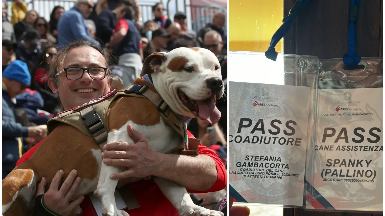 The story of Pallino, the first “doctor” dog at Unipol Domus: «The ...