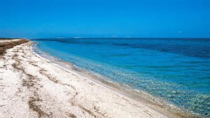 Ezzi Mannu, la spiaggia di sabbia bianca e quarzo dalle acque ...