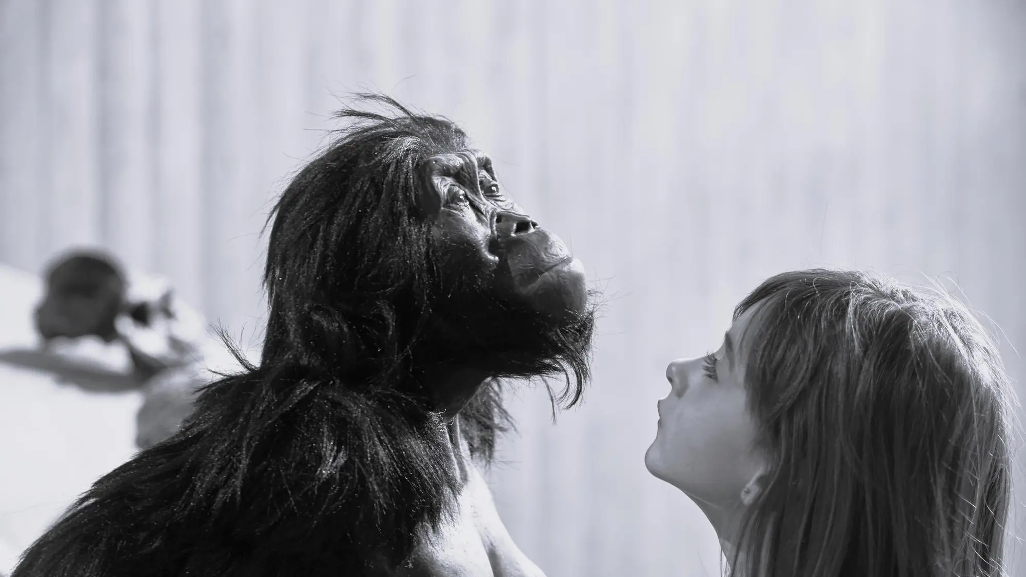 Humans! Evolution Explained Well: Book Review