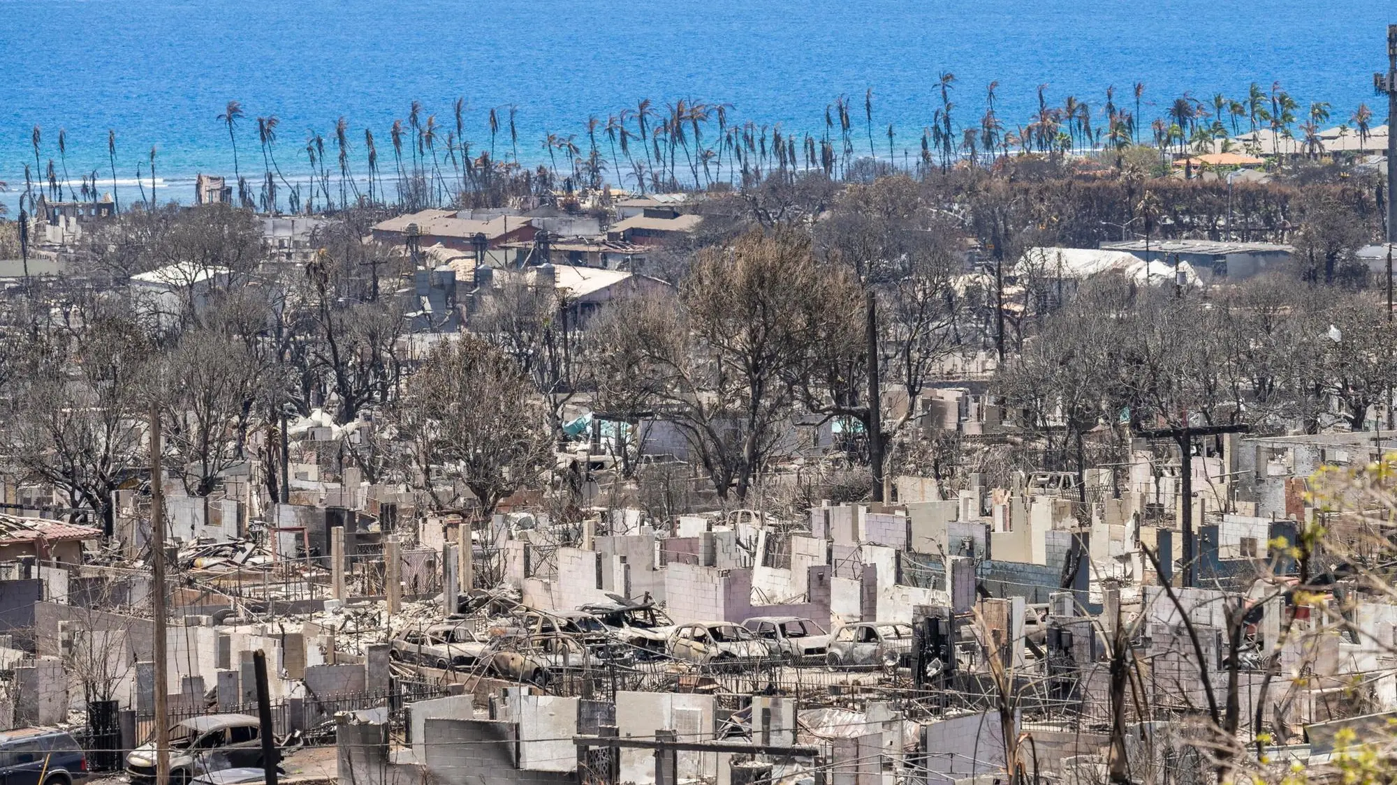 The embraced corpses, the massacre of children. Hawaii, in the hell of ...