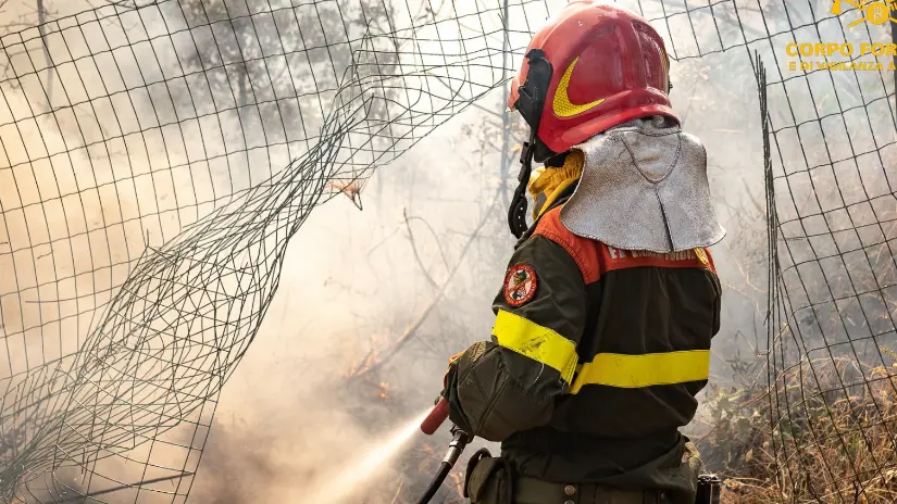 Cardedu, fire in the countryside: operator hit by fire, second degree ...
