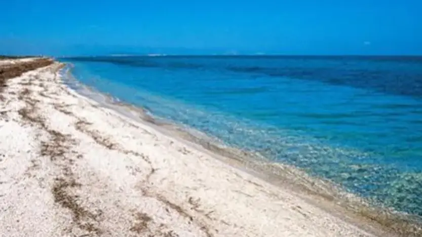 Il mio Ferragosto a Ezzi Mannu tra mega tende, escrementi, rifiuti e ...