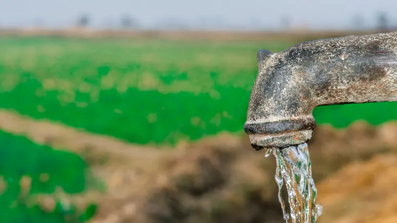 Warmest April ever, drought alert. Cereals and fodder are decreasing in ...