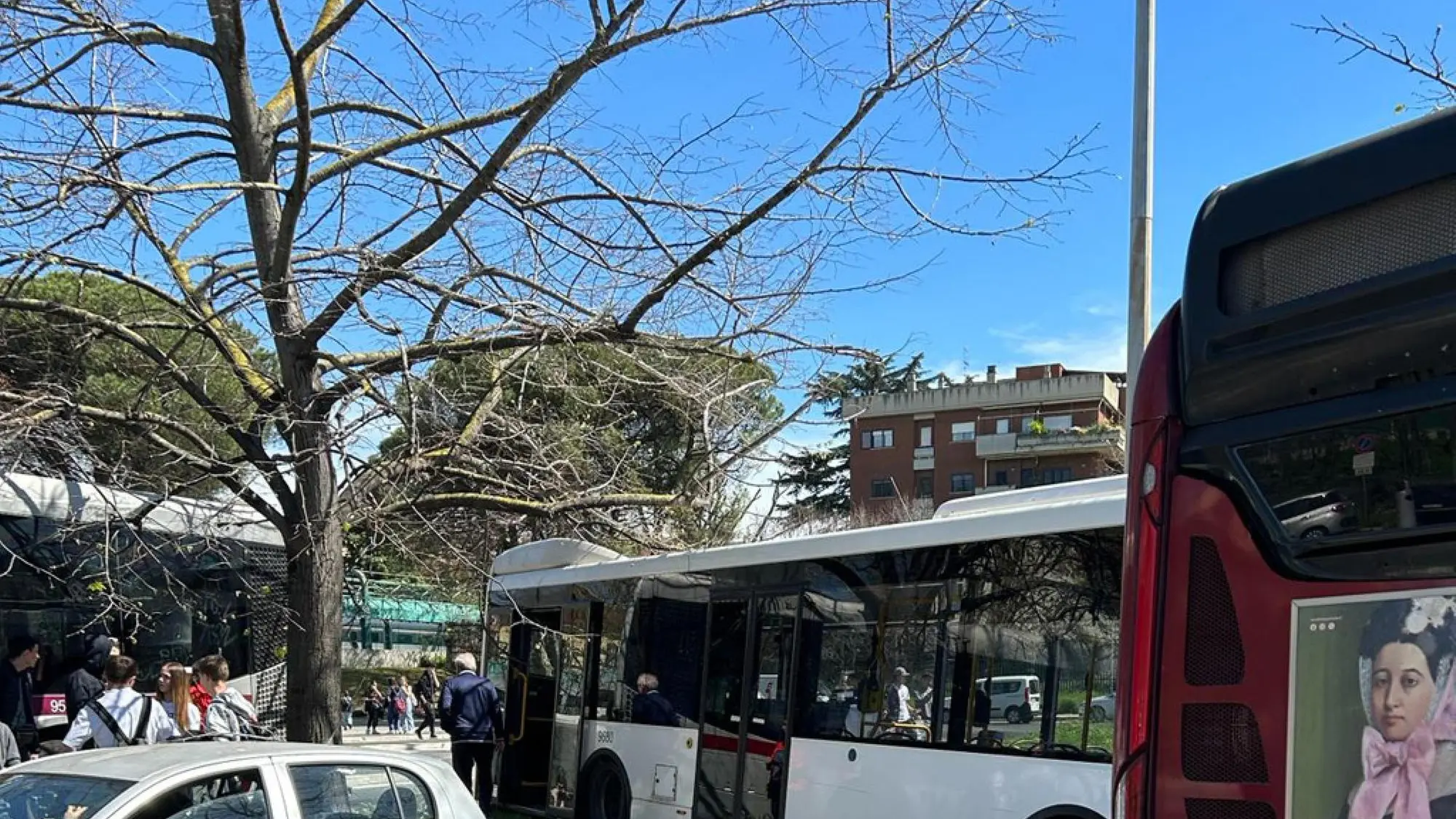 Collision between buses in Rome: numerous injured. A little girl of a ...