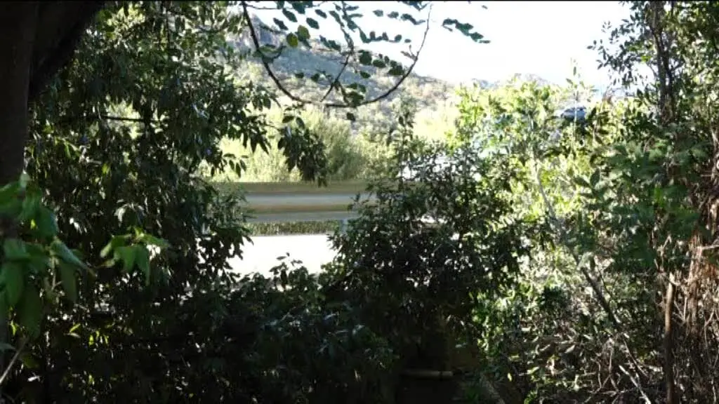 Francesca Deidda, how and when was she killed? Autopsy underway at Brotzu