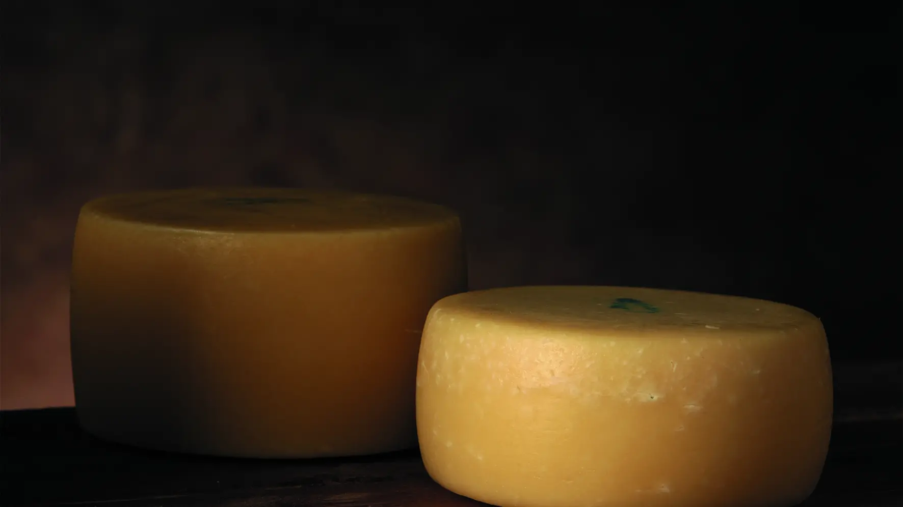 Dop Cheese Sardinia, i formaggi sardi conquistano mercati e alta ...