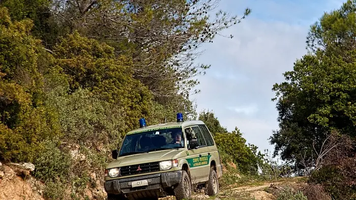 Casula a Forestas, Migliorati alla Forestale