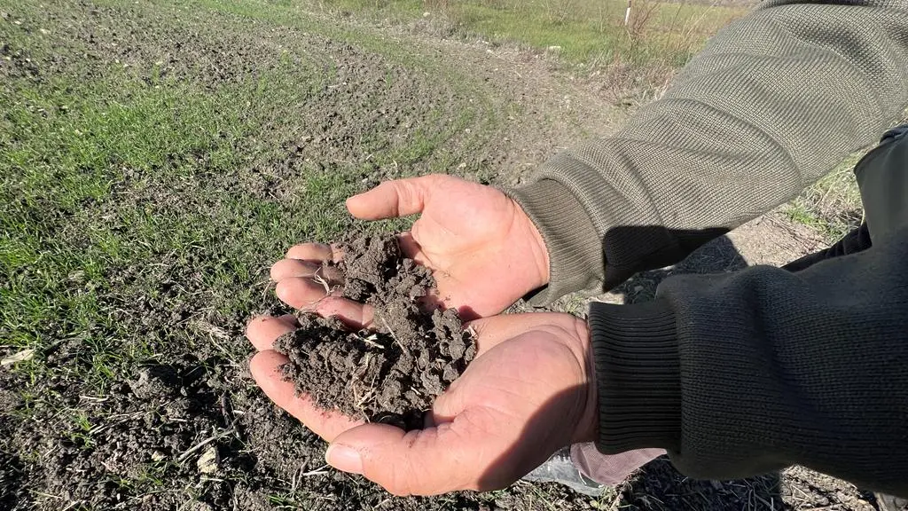 Drought in Sardinia: «In some areas it hasn't rained for 9 months ...