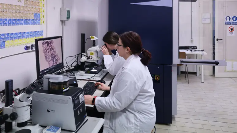 Tumori testa-collo: in arrivo un nuovo test del sangue per la diagnosi ...