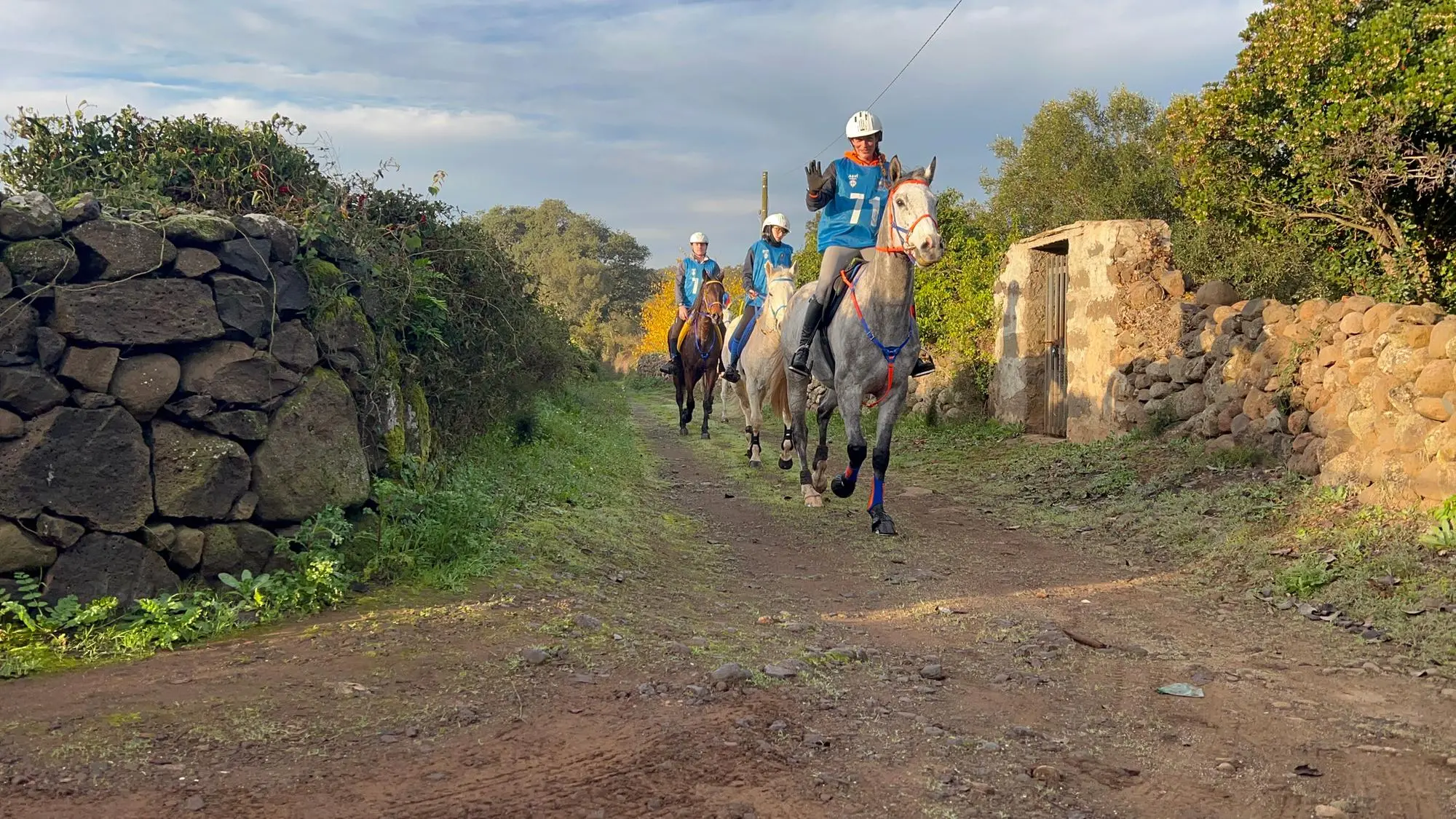 Endurance, all'anglo-arabo Dedalo de Aighenta montato da Masia la ...