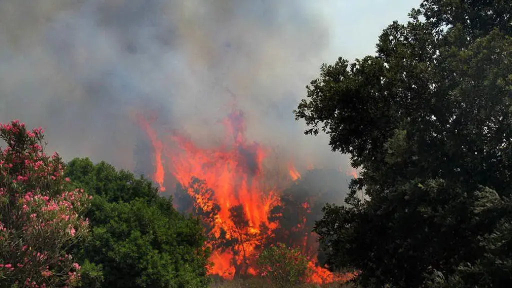 Estate 2014, incendi in calo nell'Isolama in molti Comuni manca il ...