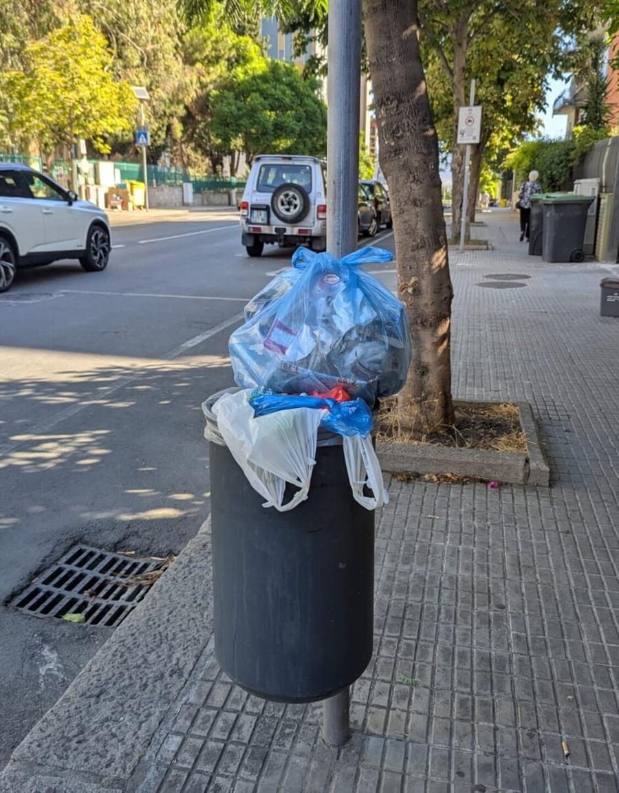 Residents protest overflowing public bins used for illegal dumping ...