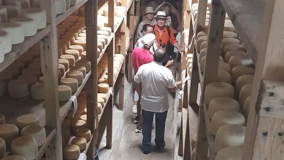 The Garau dairy in Mandas wins silver medal at the World Cheese Awards ...