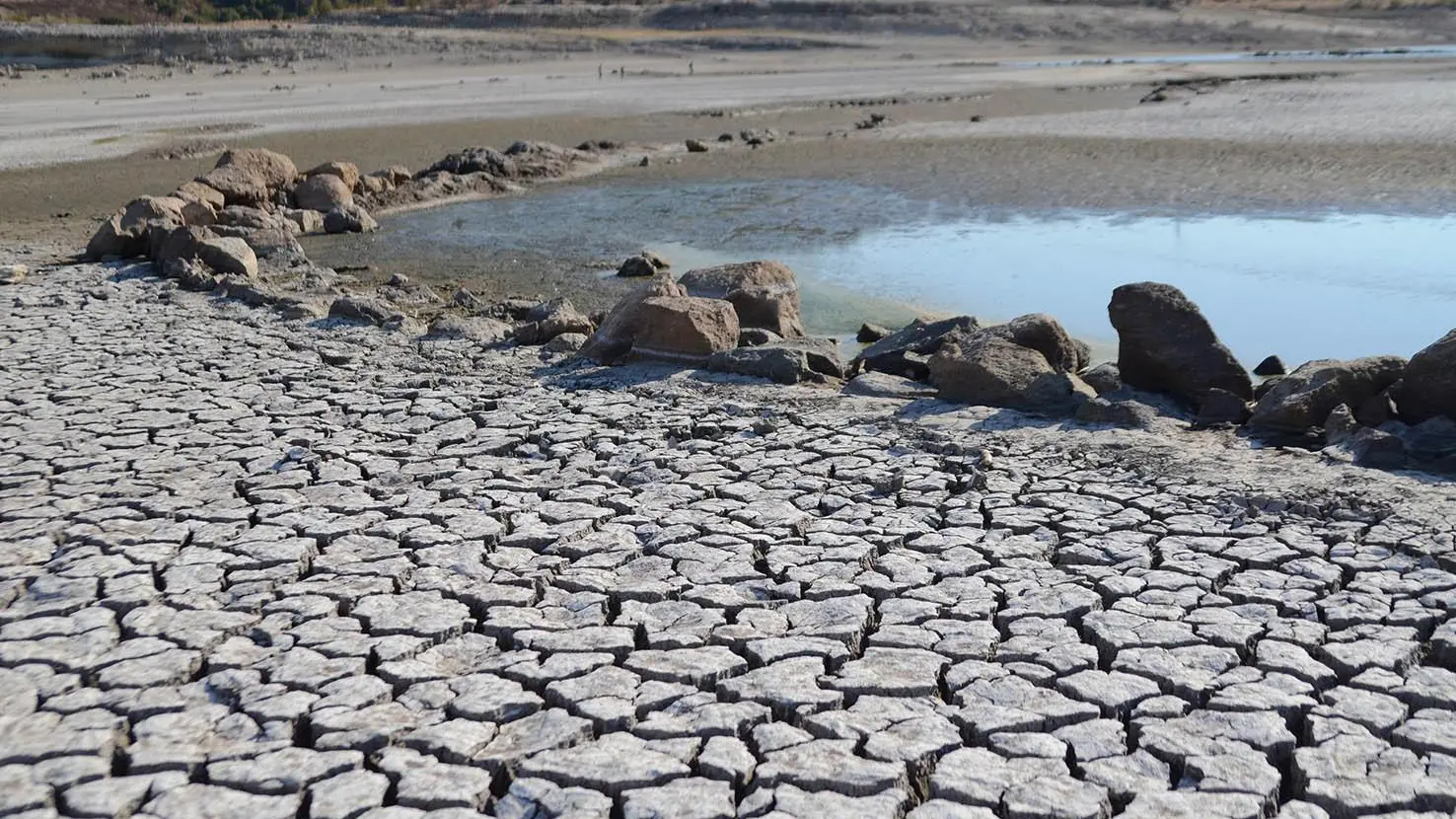 Drought, Sardinia among the most affected regions. Legambiente ...