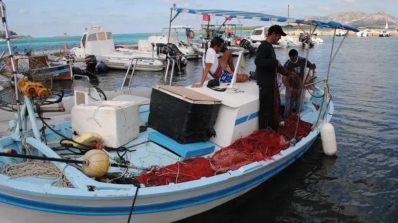 Strategie su pesca e granchio blu: gli incontri col Flag Nord Sardegna