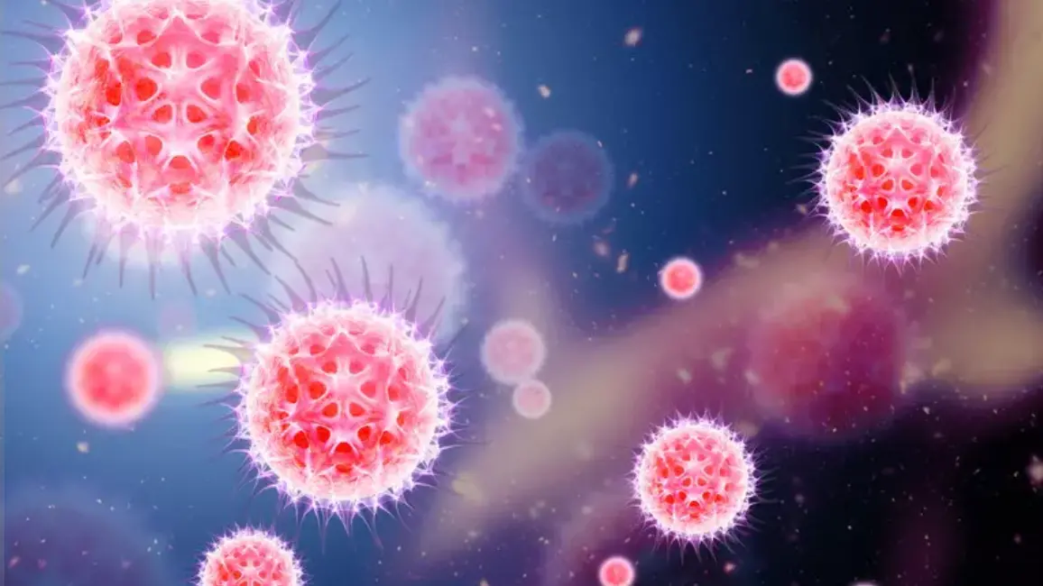 Monkeypox: Sweden has the first European case of the most dangerous variant