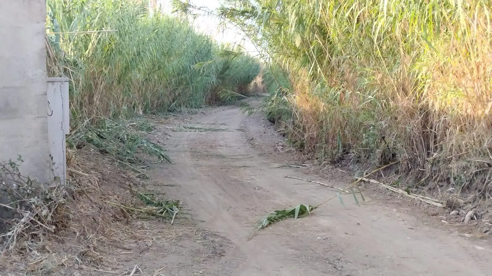 Riola Sardo: operai al lavoro per il percorso naturalistico lungo il ...