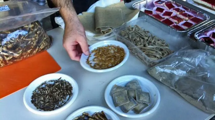 Insects on the plate and synthetic meat: «The green light from the EU ...